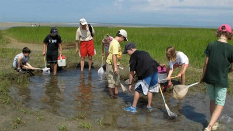 Linger Longer By The Sea - Cape Cod Rental Cottages